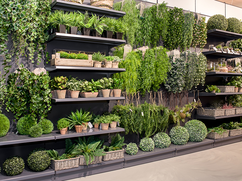 Tuincentra - Emerald Eternal Green