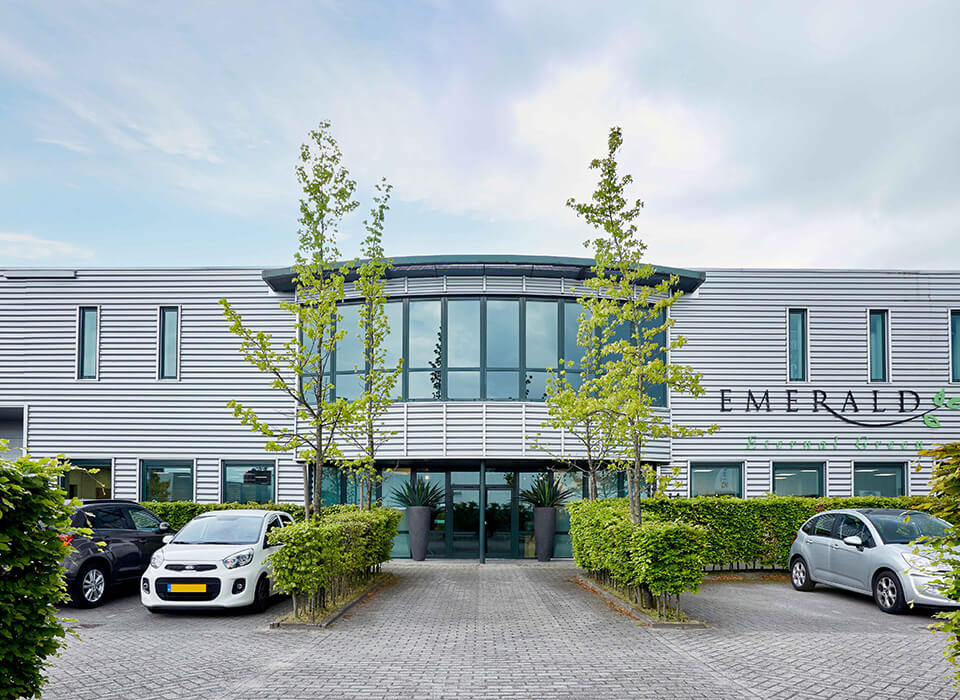 Productivity - Emerald Eternal Green