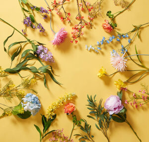 Home - Emerald Eternal Green