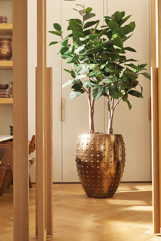 Fabulous 5 - plant edition - Emerald Eternal Green