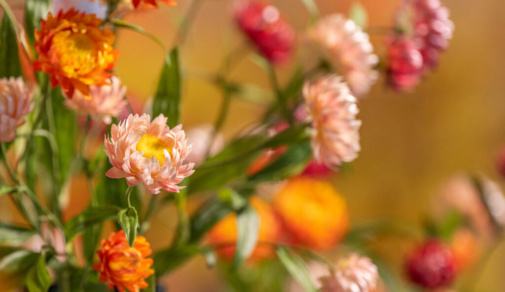 Home - Emerald Eternal Green