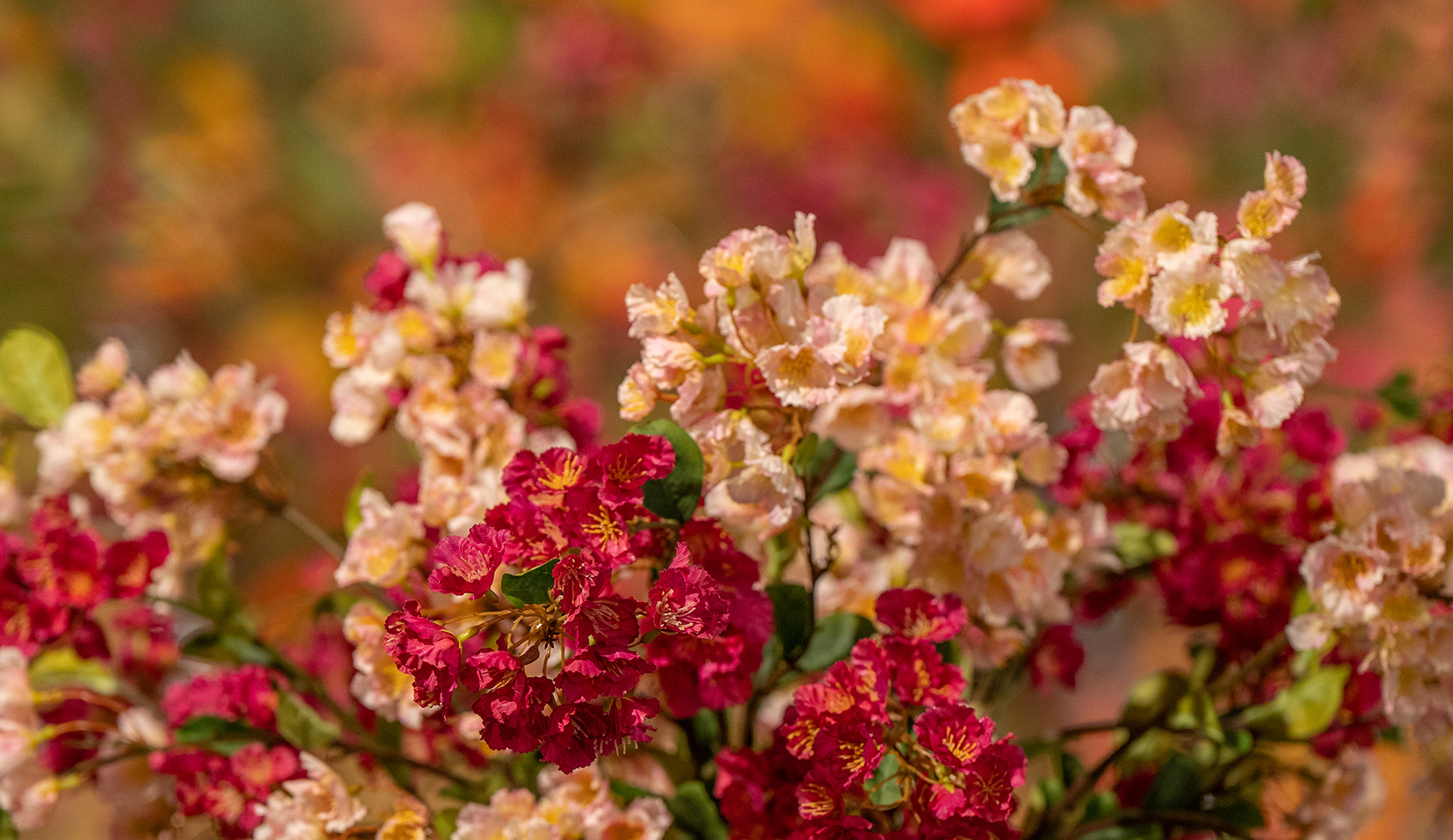 Home - Emerald Eternal Green